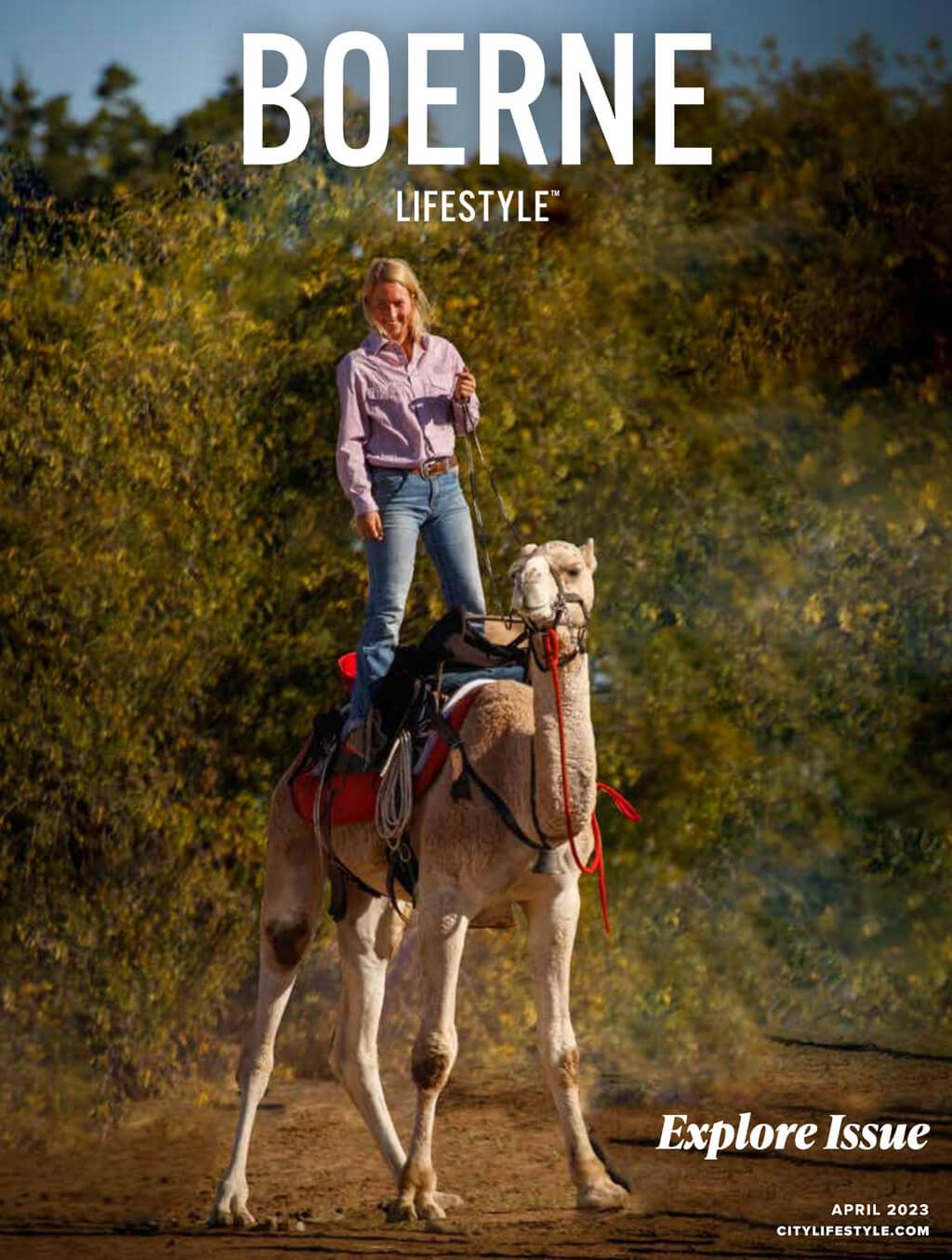 Excursions in West Texas: Camel-backing Through Time in Big Bend ...