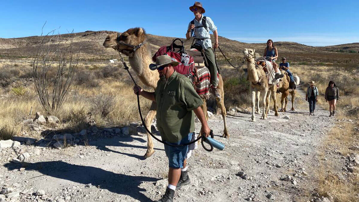 Southwest Camel Conference and Training Clinic - North American Camel ...